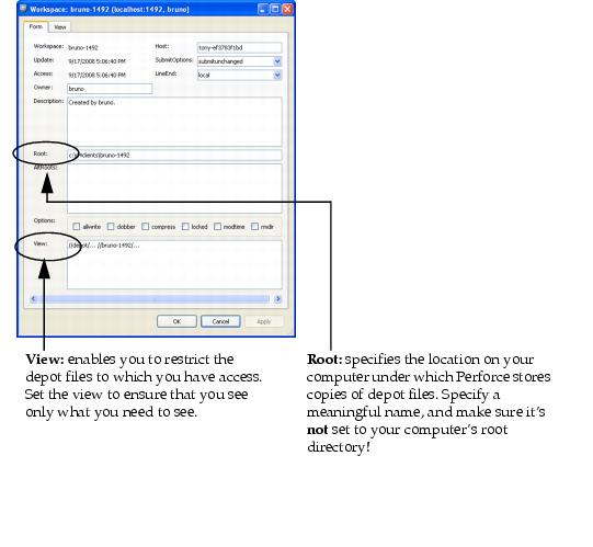 Getting Started with P4V