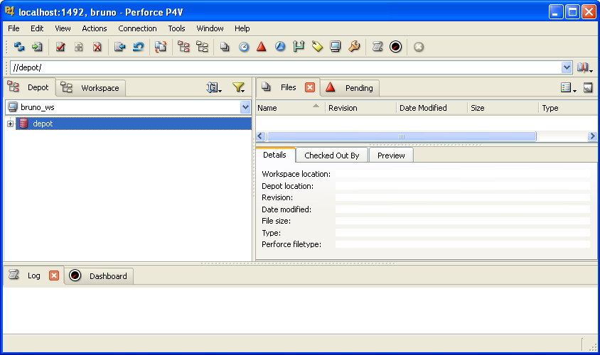 Getting Started with P4V