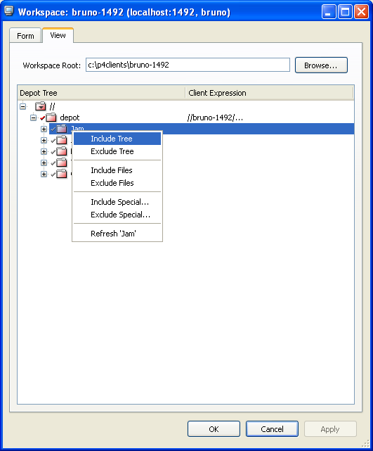 Getting Started with P4V