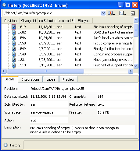 Getting Started with P4V