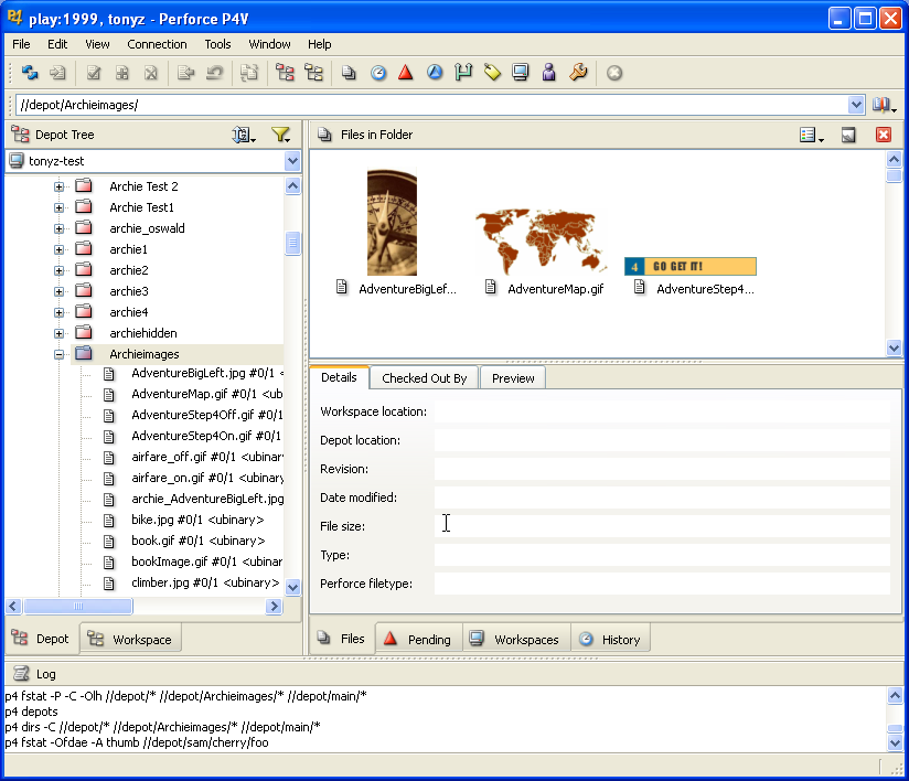 Getting Started with P4V